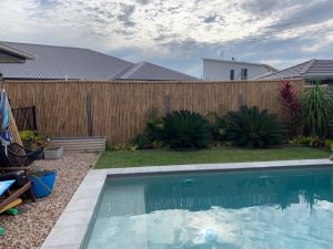 Bamboo Panels - Long-Lasting, Renewable Privacy Screening